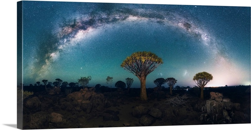 Trees At Night Under The Stars, Quiver Tree Forest, Namibia, Africa ...