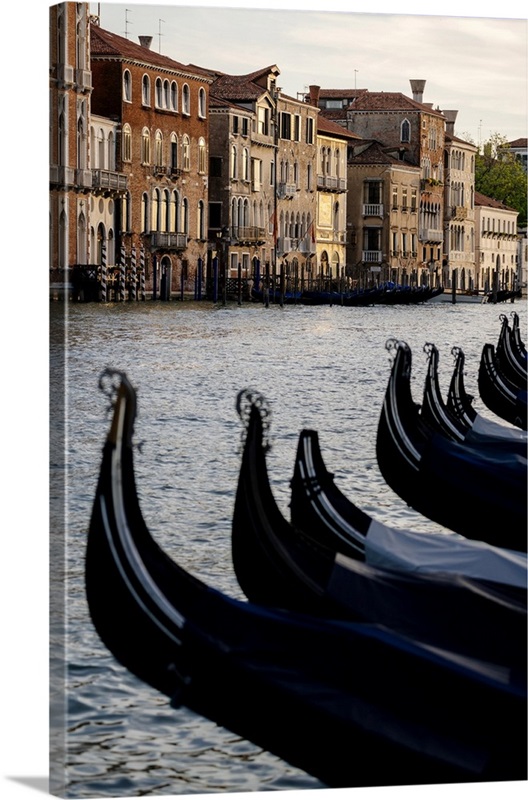 Venice, Veneto, Italy. Gondolas Bows And Grand Canal At Sunset. | Great ...