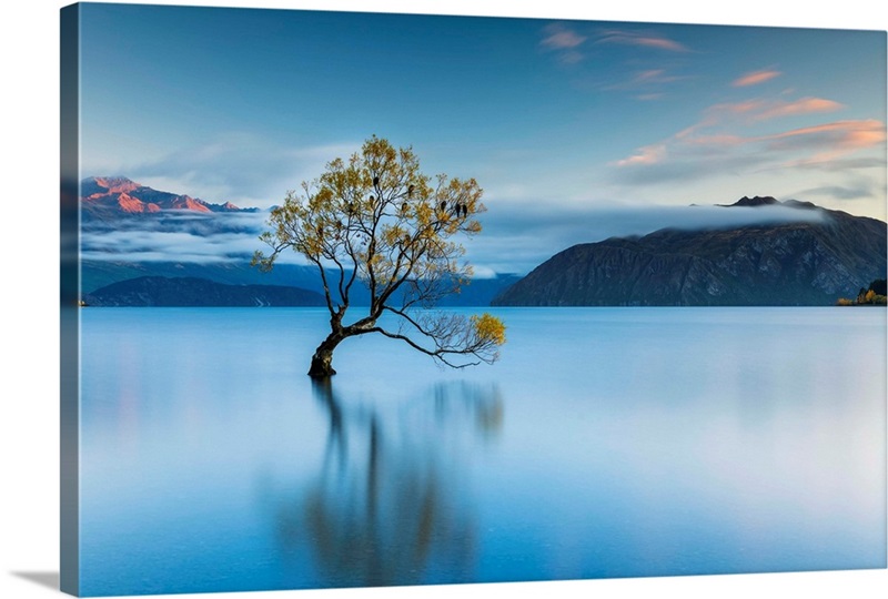Wanaka Tree Reflections, Lake Wanaka, New Zealand | Great Big Canvas