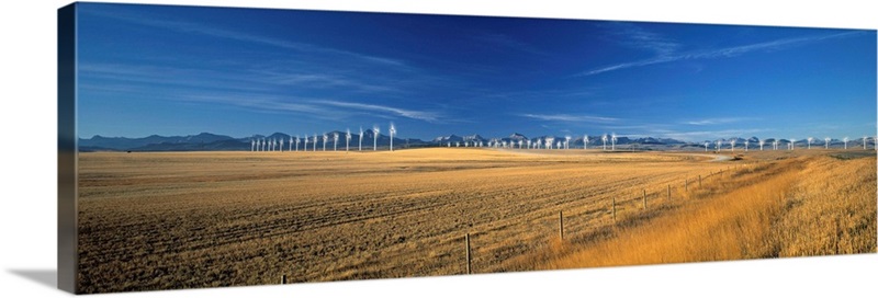 Wind farm, Crowsnest Pass, Cowley, Alberta, Canada | Great Big Canvas