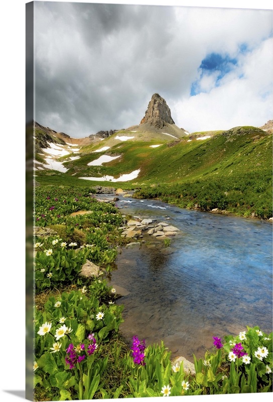 Spring runoff and wildflowers in Colorado's San Juan Mountains, Rocky ...