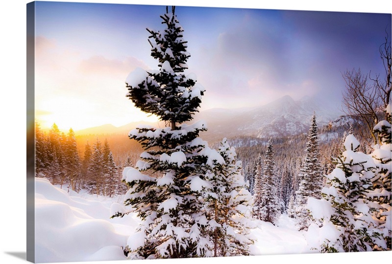 Sun Rises After A Fresh Snowfall, Rocky Mountain National Park ...