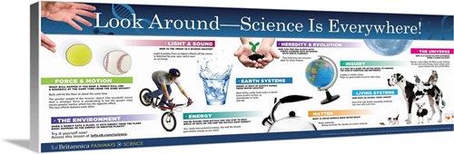 Pathways Educational Poster | Great Big Canvas