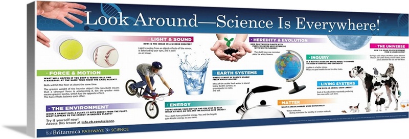 Pathways Educational Poster | Great Big Canvas