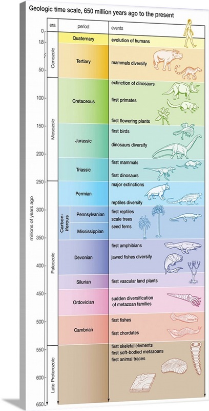 Timeline of Animals | Great Big Canvas