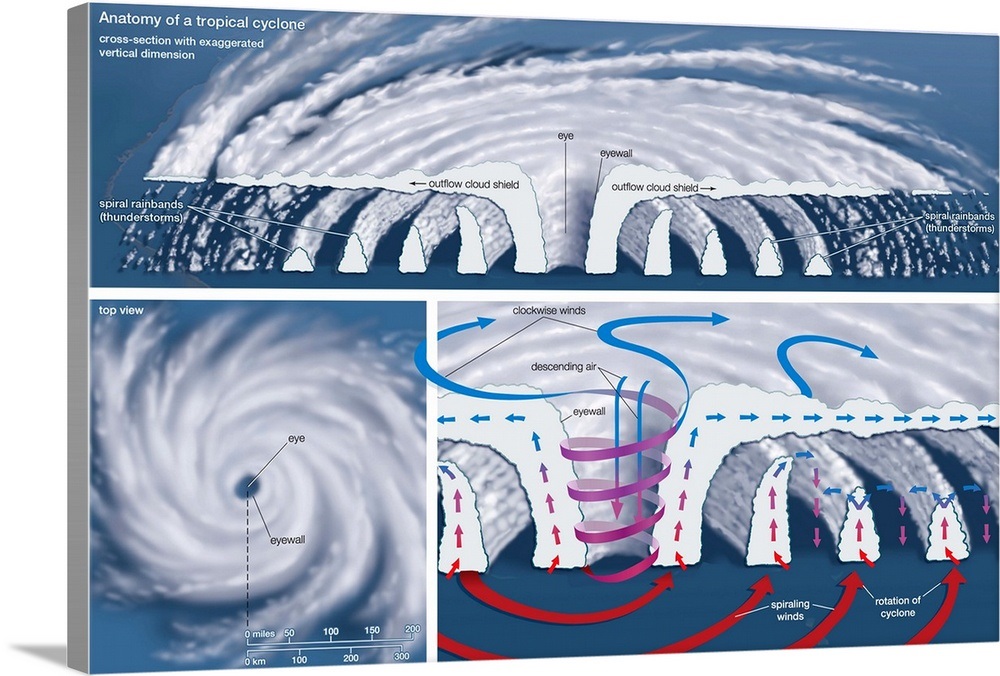 Top View And Vertical Cross Section Of A Tropical Cyclone. Atmosphere ...