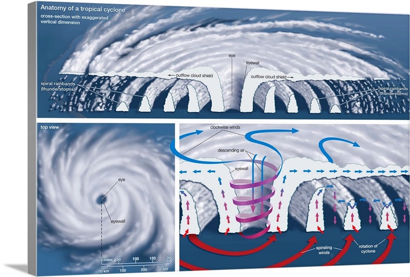 Top View And Vertical Cross Section Of A Tropical Cyclone. Atmosphere ...