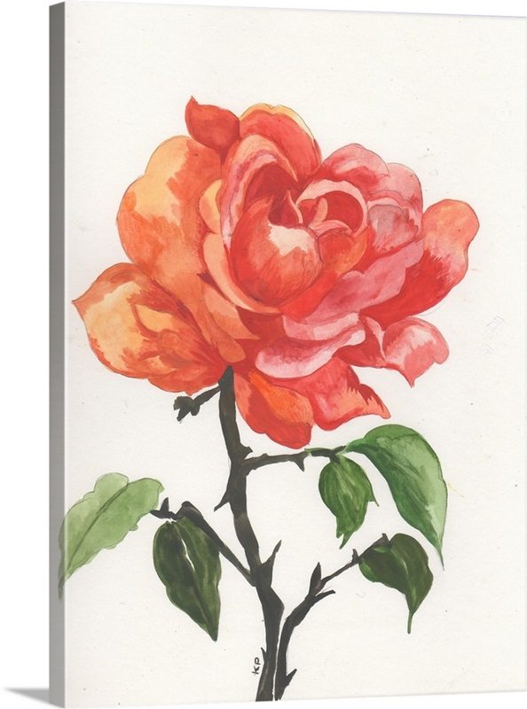 Wild Rose Wall Art, Canvas Prints, Framed Prints, Wall Peels | Great ...