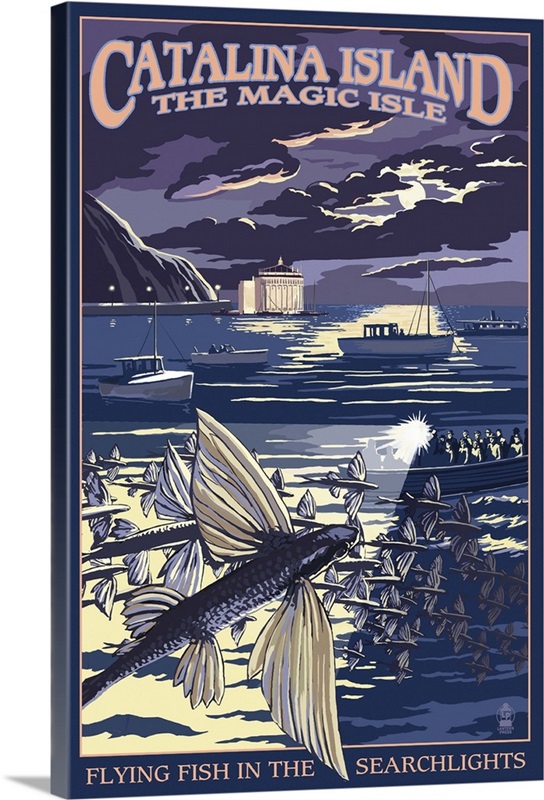 Catalina Island, California, Flying Fish | Great Big Canvas