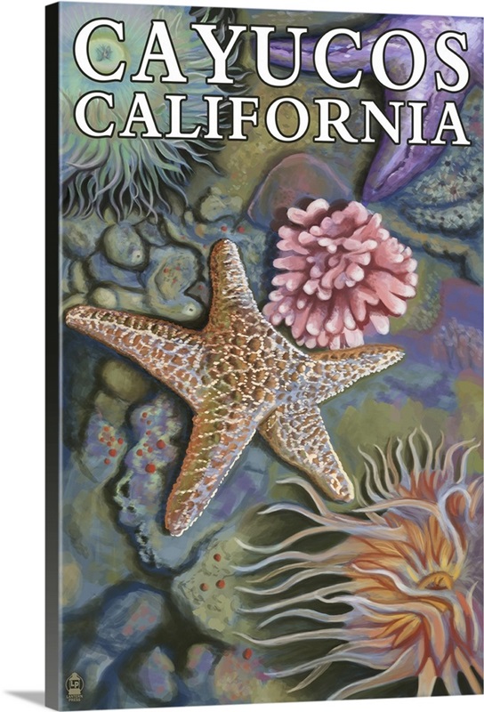 Cayucos, California - Tidepool: Retro Travel Poster | Great Big Canvas
