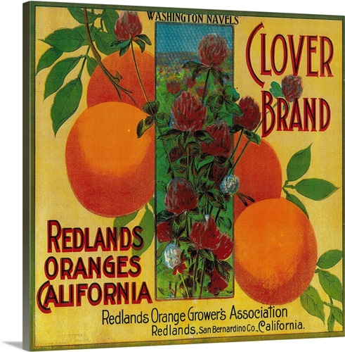 Clover Orange Label, Redlands, CA | Great Big Canvas