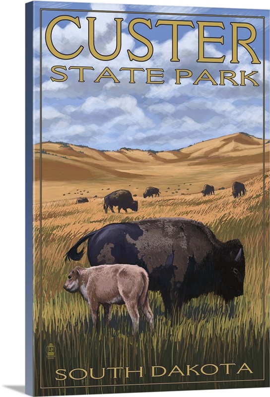 Custer State Park - Buffalo Herd and Calf: Retro Travel Poster | Great ...
