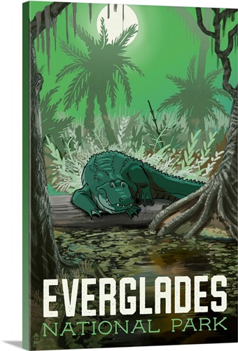 Everglades National Park, Crocodile In The Wetlands: Retro Travel ...