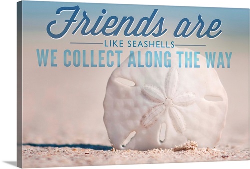 Friends are Like Seashells, Sand Dollar | Great Big Canvas