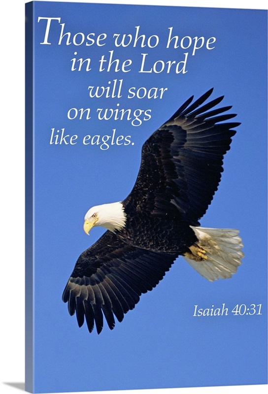 Isaiah 40:31 - Inspirational | Great Big Canvas