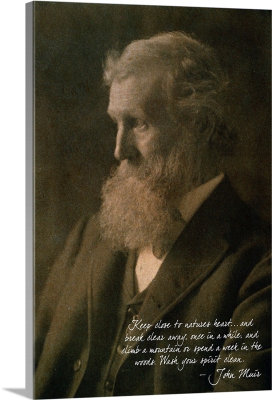 Muir Woods National Monument, California - John Muir Portrait: Retro ...