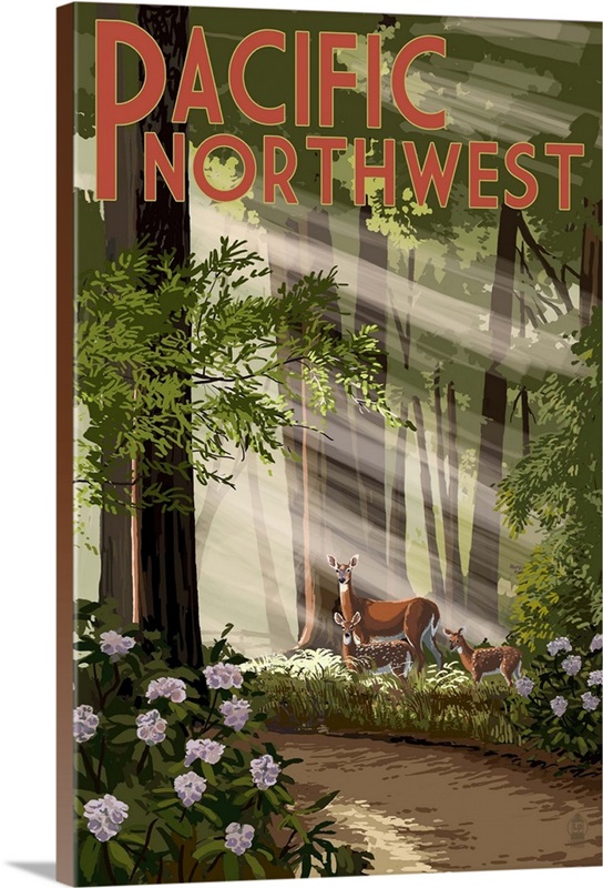 Pacific Northwest, Deer in Forest | Great Big Canvas