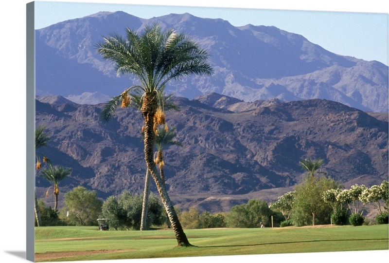 Palm Tree & Mountains Golf Course | Great Big Canvas