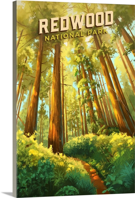 Redwood National Park, Forest: Retro Travel Poster | Great Big Canvas
