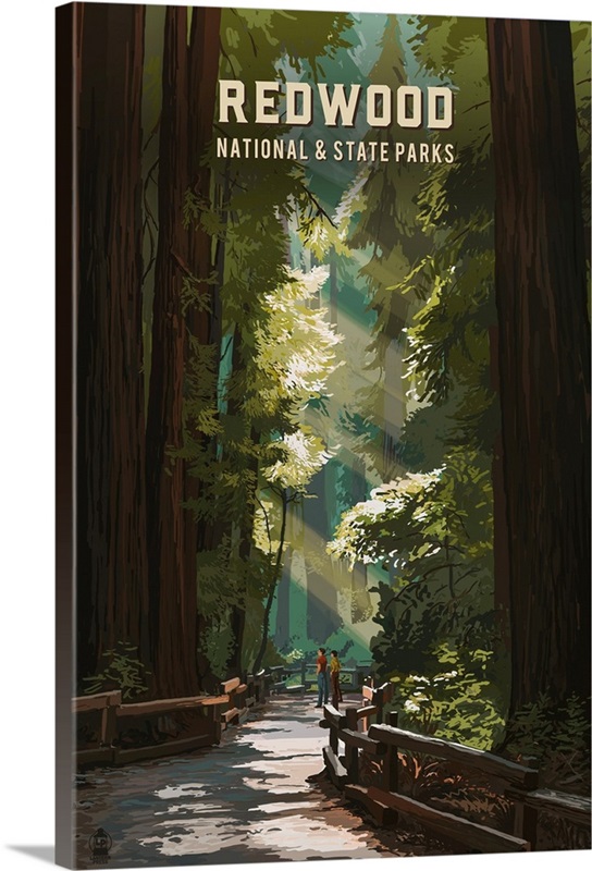 Redwood National Park, Forest: Retro Travel Poster | Great Big Canvas