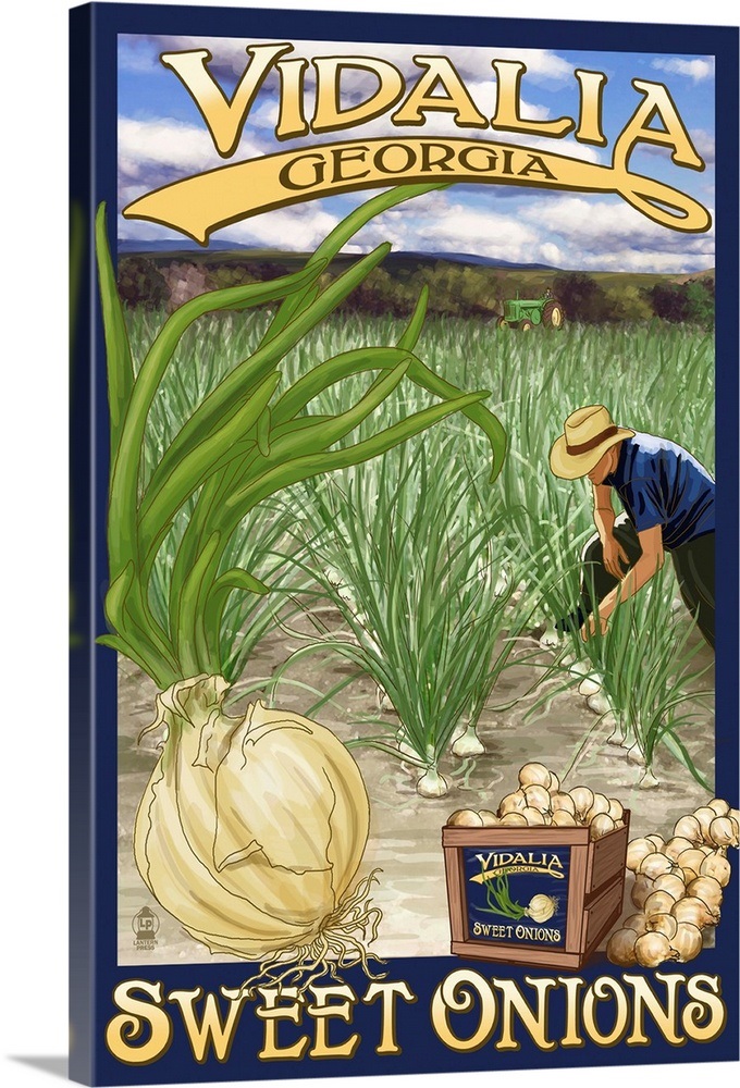 Vidalia, Georgia - Onion Field: Retro Travel Poster Wall Art, Canvas ...