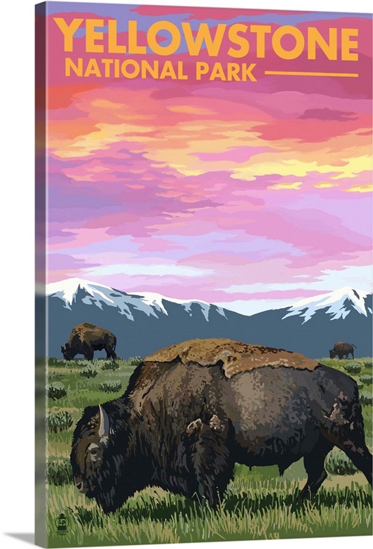 Yellowstone National Park - Bison and Sunset: Retro Travel Poster ...