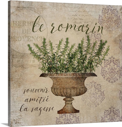 French Herbs Le Romarin | Great Big Canvas