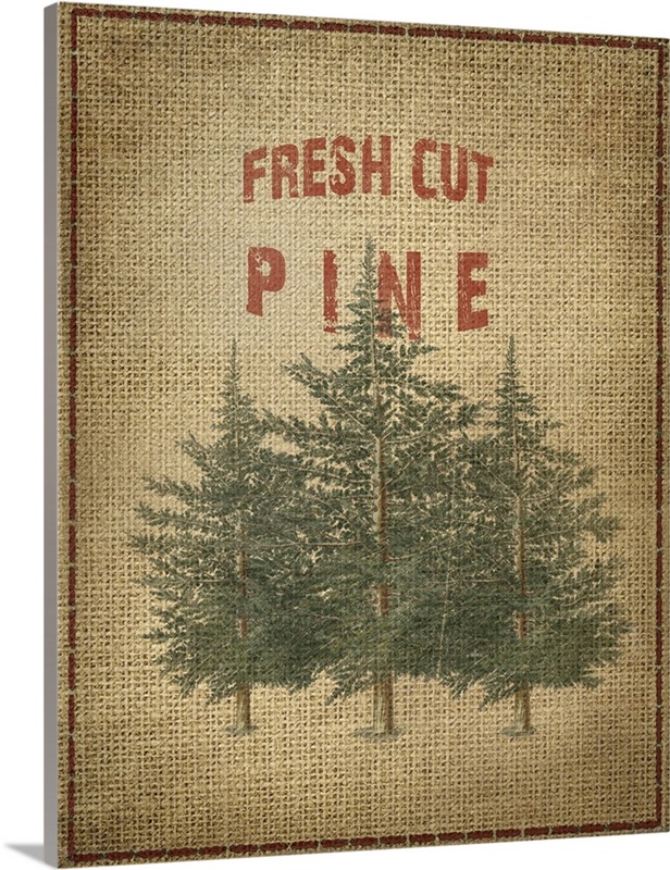 Fresh Cut Pine | Great Big Canvas