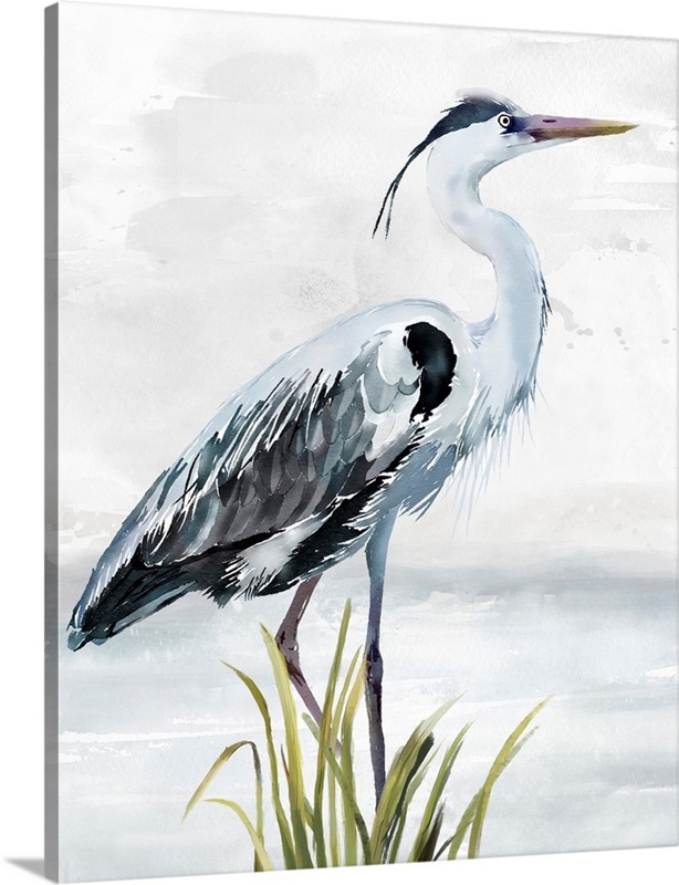 Shore Bird I | Great Big Canvas