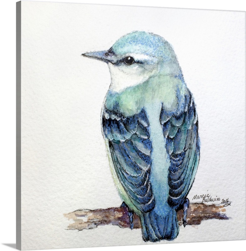Blue Nuthatch | Great Big Canvas