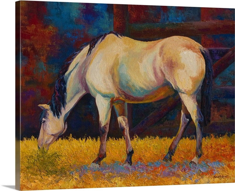 Buckskin | Great Big Canvas