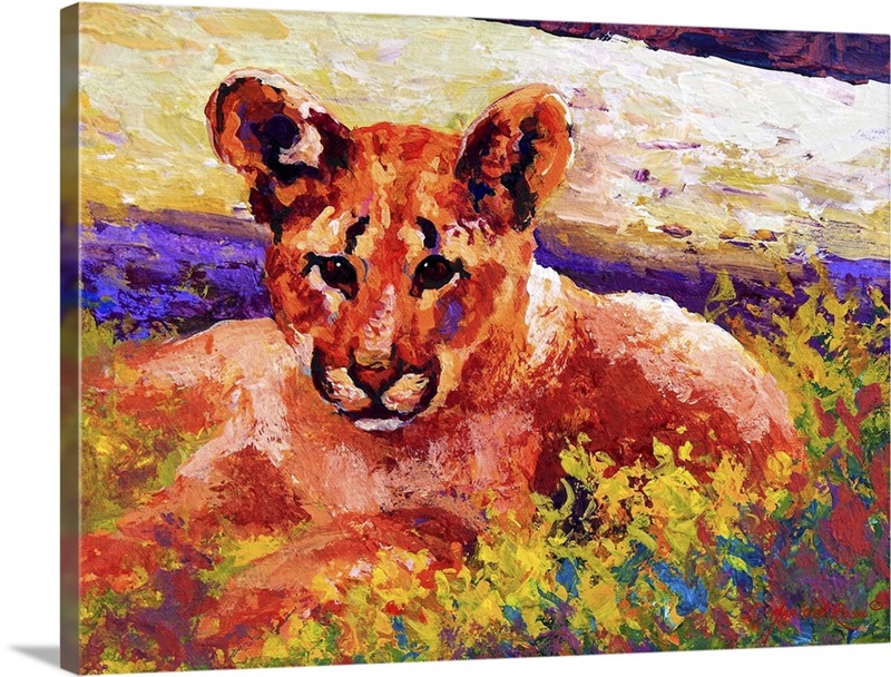 Cougar Cub | Great Big Canvas