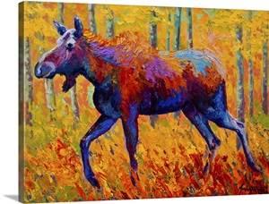 Cow Moose Wall Art, Canvas Prints, Framed Prints, Wall Peels | Great ...