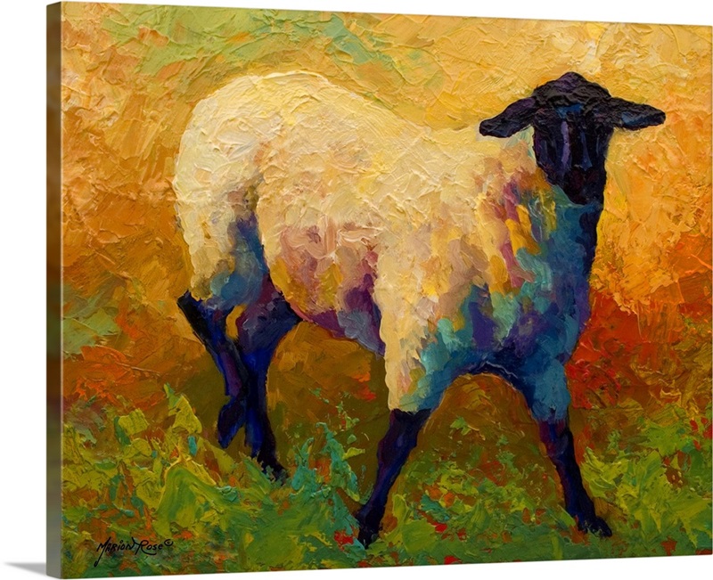 Ewe Portrait IV | Great Big Canvas