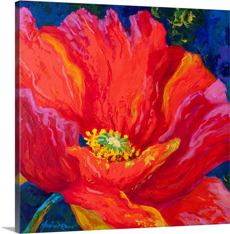 Passion Poppy II | Great Big Canvas