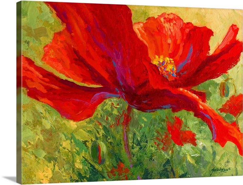 Red Poppy I | Great Big Canvas