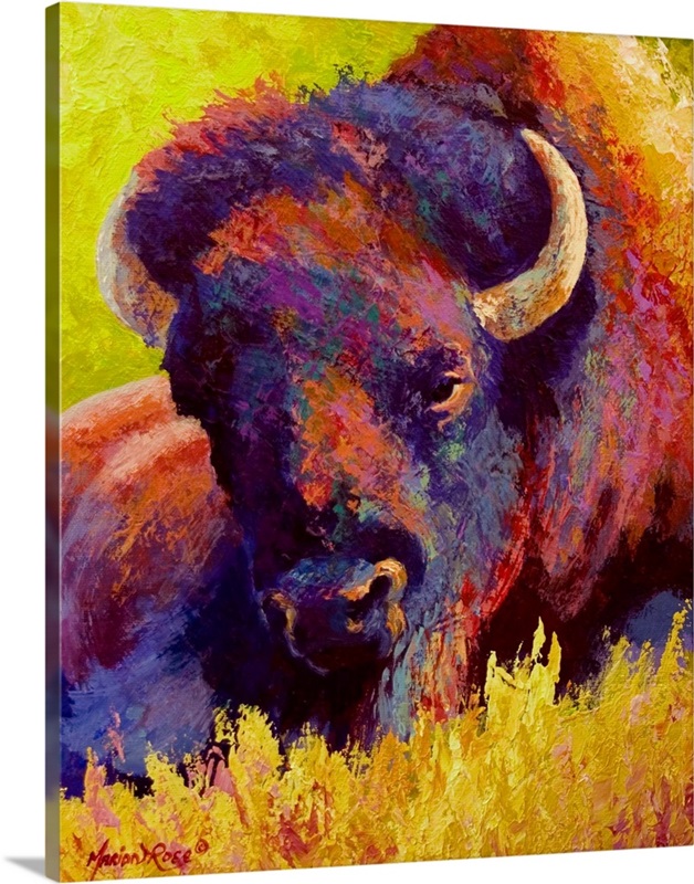 Timeless Spirit Bison | Great Big Canvas