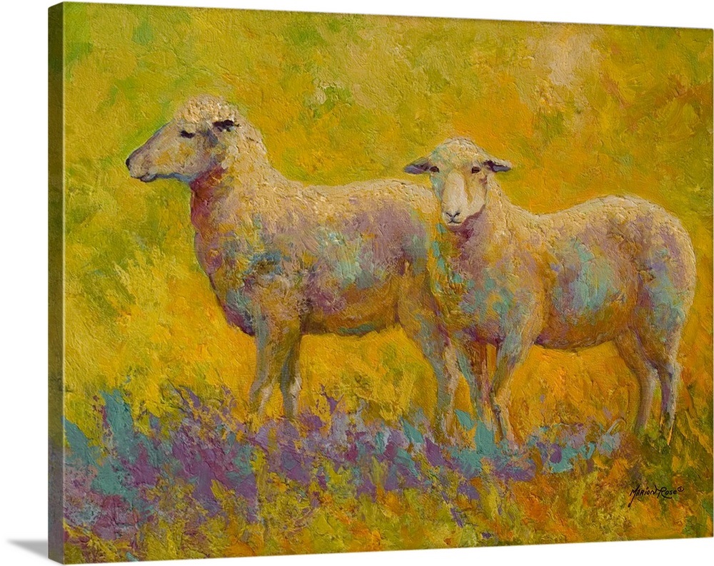 Warm Glow Sheep Pair Wall Art, Canvas Prints, Framed Prints, Wall Peels ...