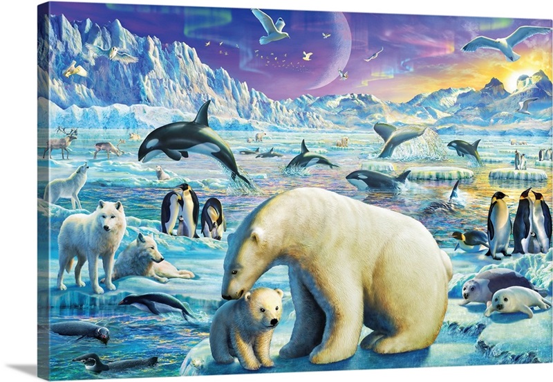 Arctic Night | Great Big Canvas