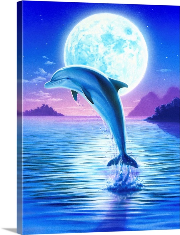 Day Of The Dolphin Midnight | Great Big Canvas