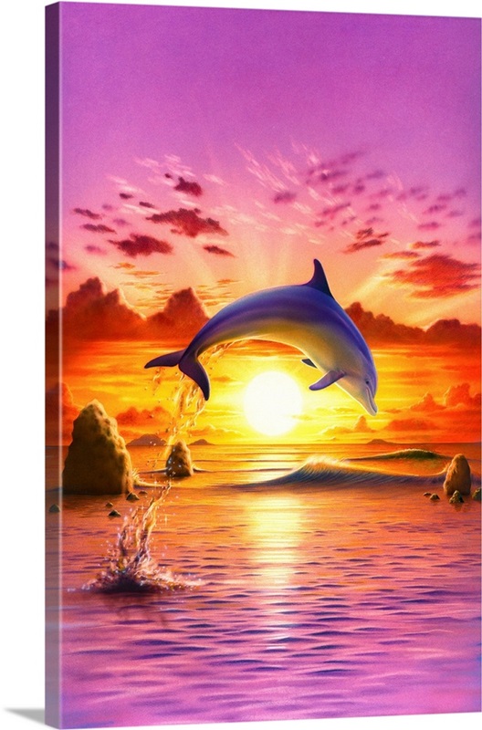 Day Of The Dolphin - Sunset | Great Big Canvas