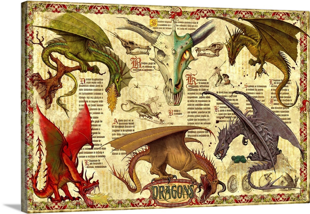 Dragon Study I Wall Art, Canvas Prints, Framed Prints, Wall Peels ...