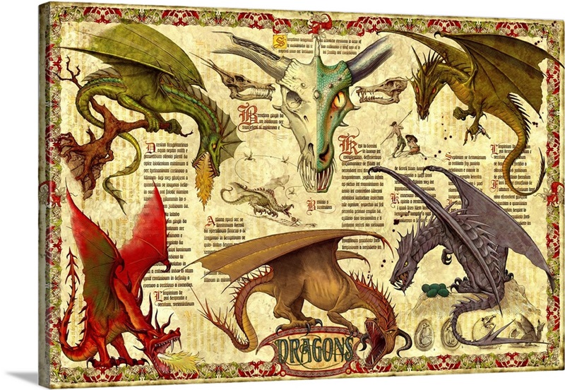 Dragon Study I | Great Big Canvas