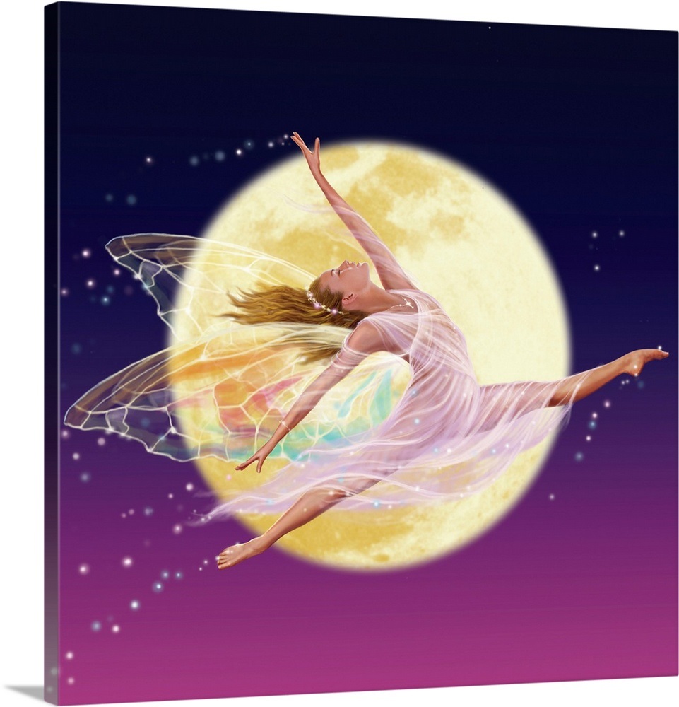 Moon Fairy Wall Art, Canvas Prints, Framed Prints, Wall Peels | Great ...