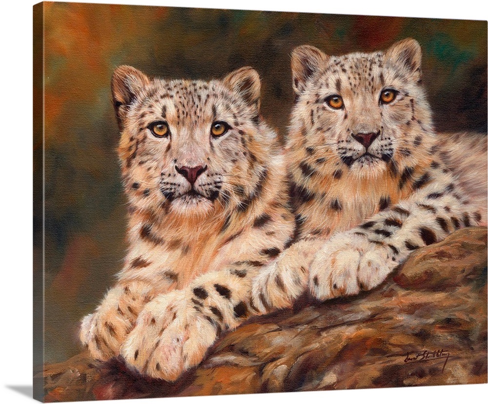 Pair of Young Snow Leopards Wall Art, Canvas Prints, Framed Prints ...