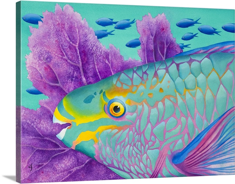 Parrotfish | Great Big Canvas