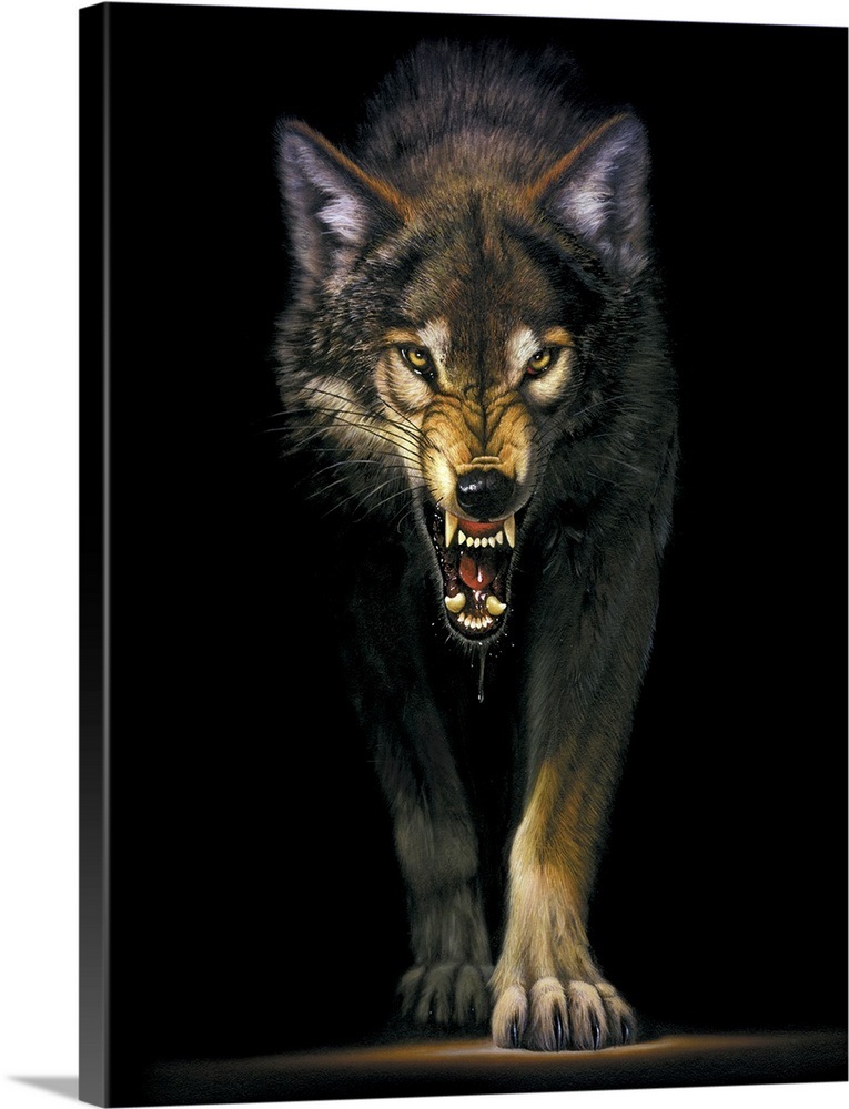 Stalking Wolf Wall Art, Canvas Prints, Framed Prints, Wall Peels ...