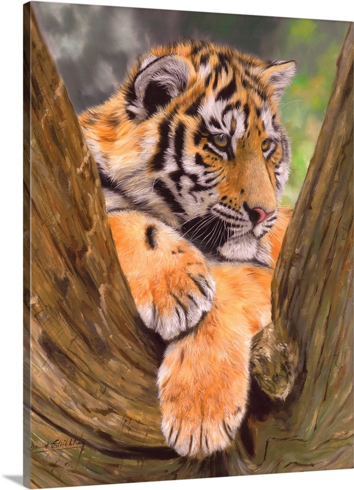 Tiger resting on tree Wall Art, Canvas Prints, Framed Prints, Wall ...