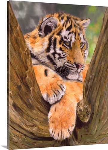 Tiger Resting On Tree | Great Big Canvas