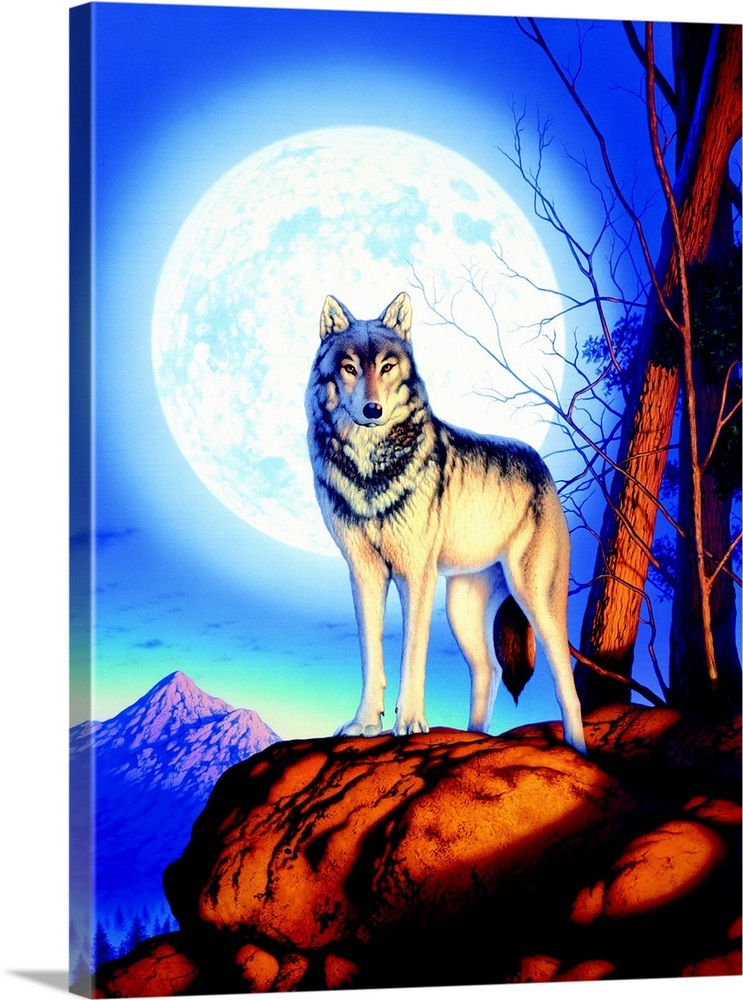 Timber Wolf Wall Art, Canvas Prints, Framed Prints, Wall Peels | Great ...